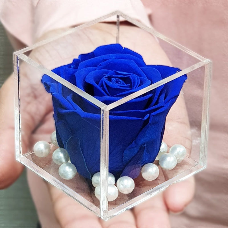 Forever Rose | Long-Lasting Preserved Roses | Real Roses that Last Forever